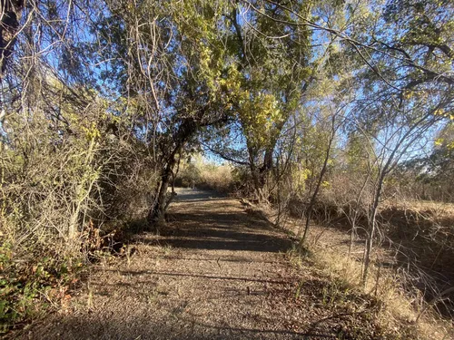 Best Walking Trails in Colusa | AllTrails