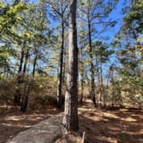 Sheldon Lake State Park Nature Loop, Texas - 242 Reviews, Map | AllTrails