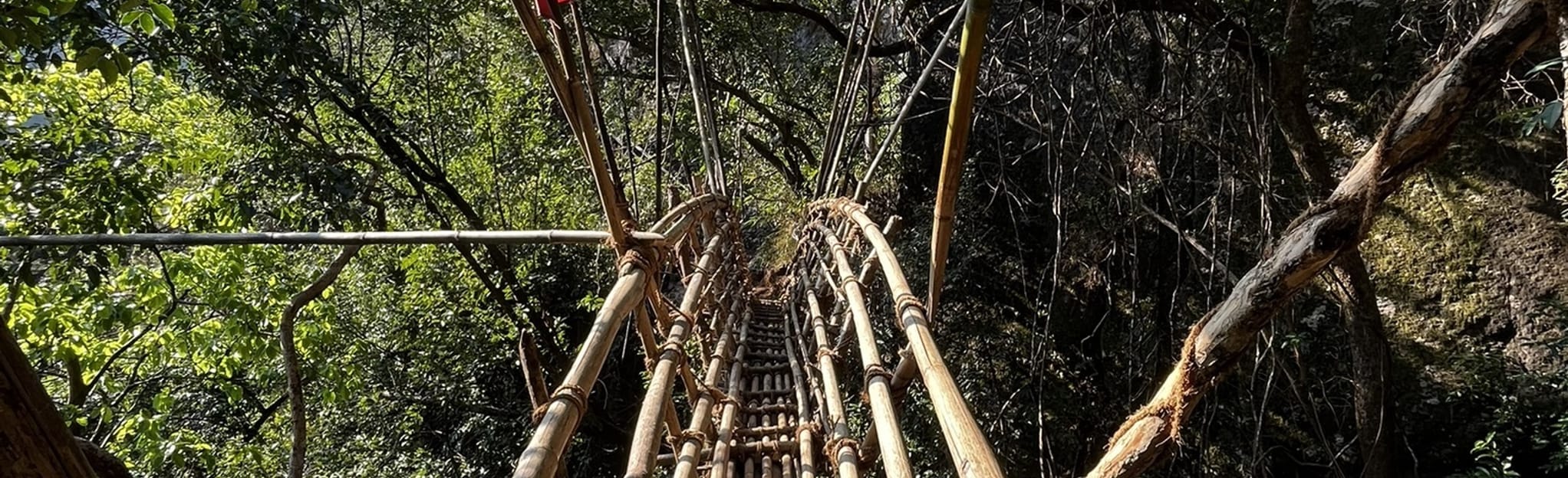 Mawryngkhang Bamboo Trail, Meghalaya, India - 5 Reviews, Map | AllTrails