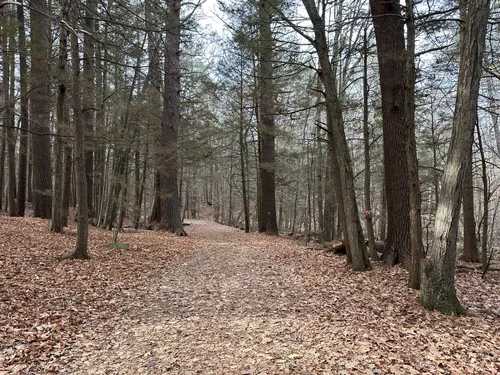 2023 Best 10 Trails and Hikes in Durham | AllTrails