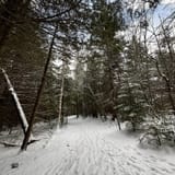 Potato Field and Maple Grove Trail Loop, New York - 315 Reviews, Map ...