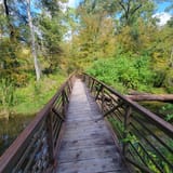 Ratcliff Lake Trail, Texas - 242 Reviews, Map | AllTrails