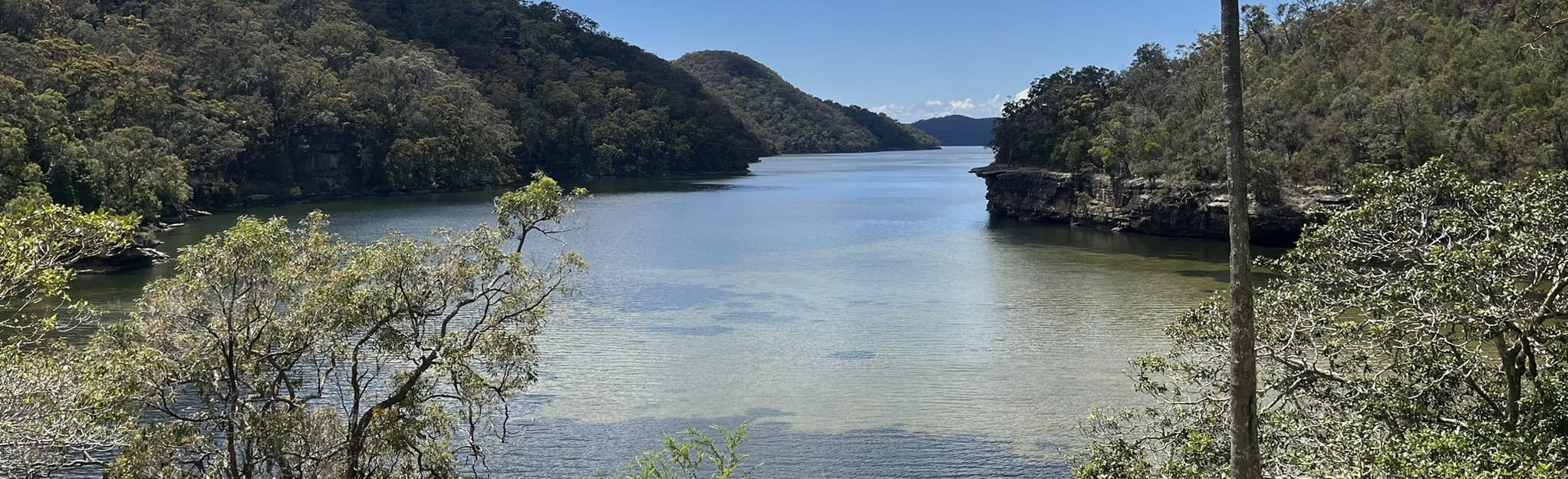 Great North Walk: Thru Hike Sydney to Newcastle: 86 Reviews, Map - New ...