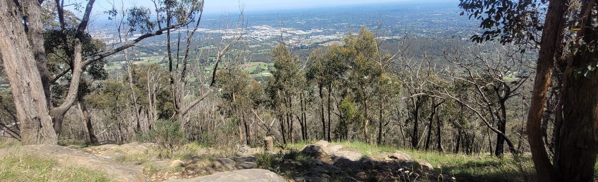Fireline and Kyeema Track Loop - Victoria, Australia | AllTrails