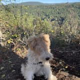 Amanda's Trail, Oregon - 156 Reviews, Map | AllTrails