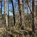 Amanda's Trail, Oregon - 156 Reviews, Map | AllTrails