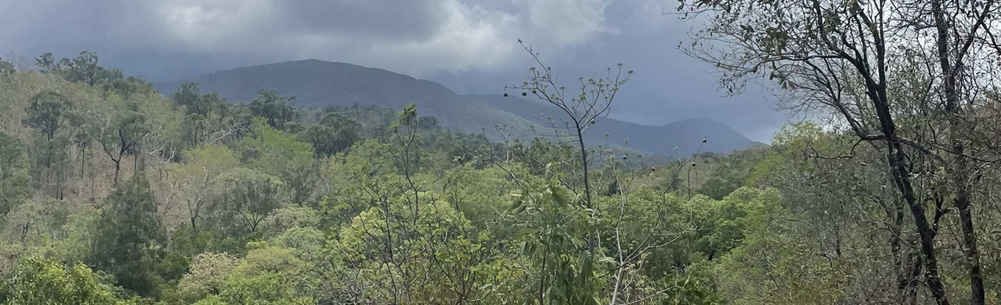 Alligator Creek Falls Track - Queensland, Australia | AllTrails