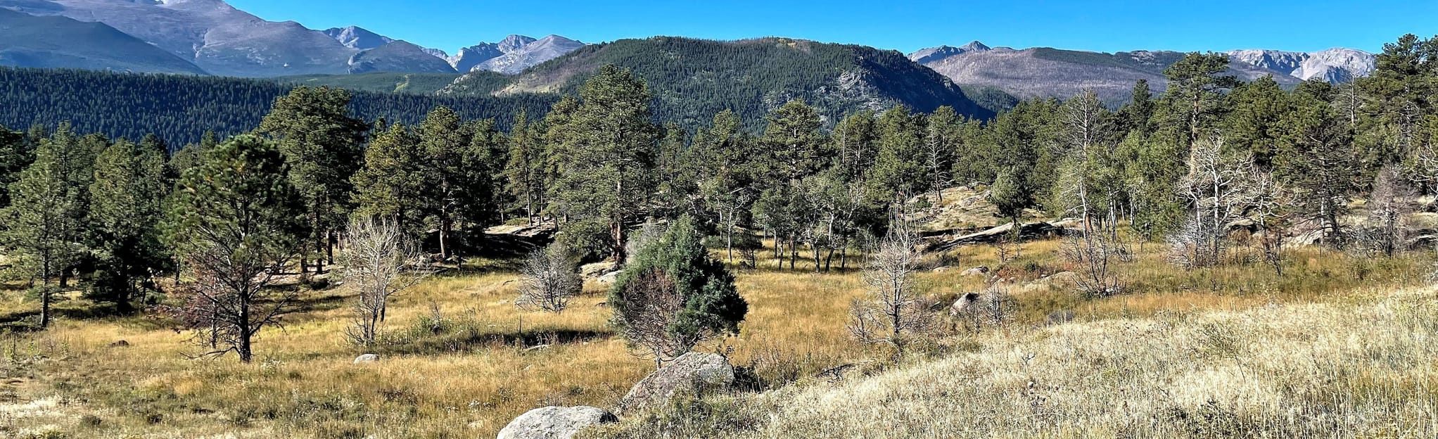 Moraine Park and Tuxedo Park/Old RMNP Entry Trail, Colorado - 12 ...