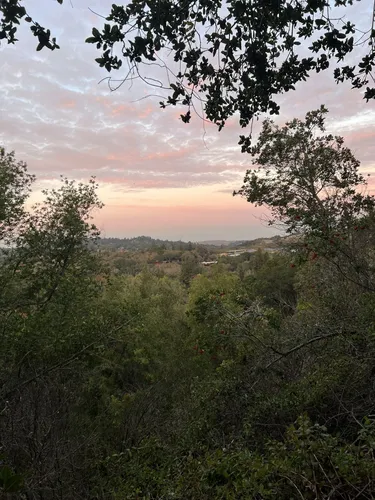 Best Hikes and Trails in Coal Mine Ridge Nature Preserve of Portola ...