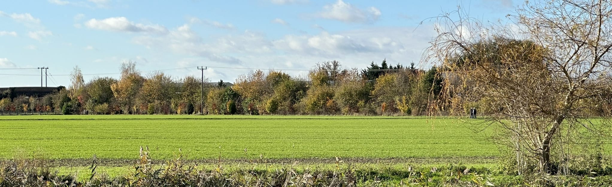 Melbourn and Meldreth Circular, Hertfordshire, England - 20 Reviews ...