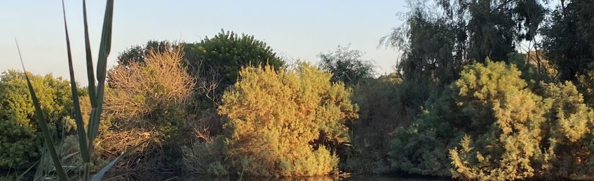 Beit Yanai Beach and Samara Ruins: 19 fotos - Central District HaMerkaz ...