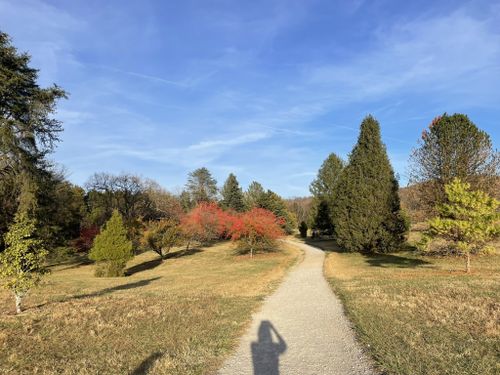Best 10 Hikes and Trails in Bernheim Arboretum and Research Forest ...