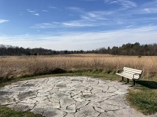 Best Hikes and Trails in Timber Ridge Forest Preserve | AllTrails