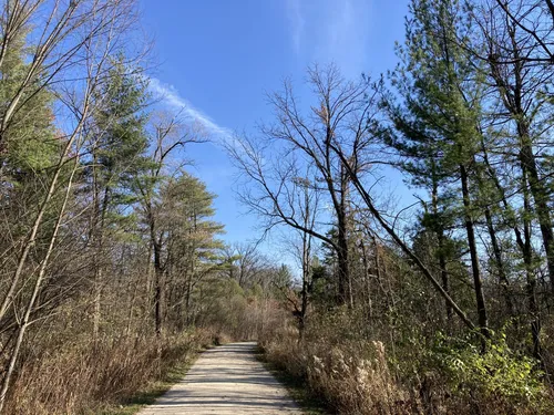 Best Hikes and Trails in Timber Ridge Forest Preserve | AllTrails