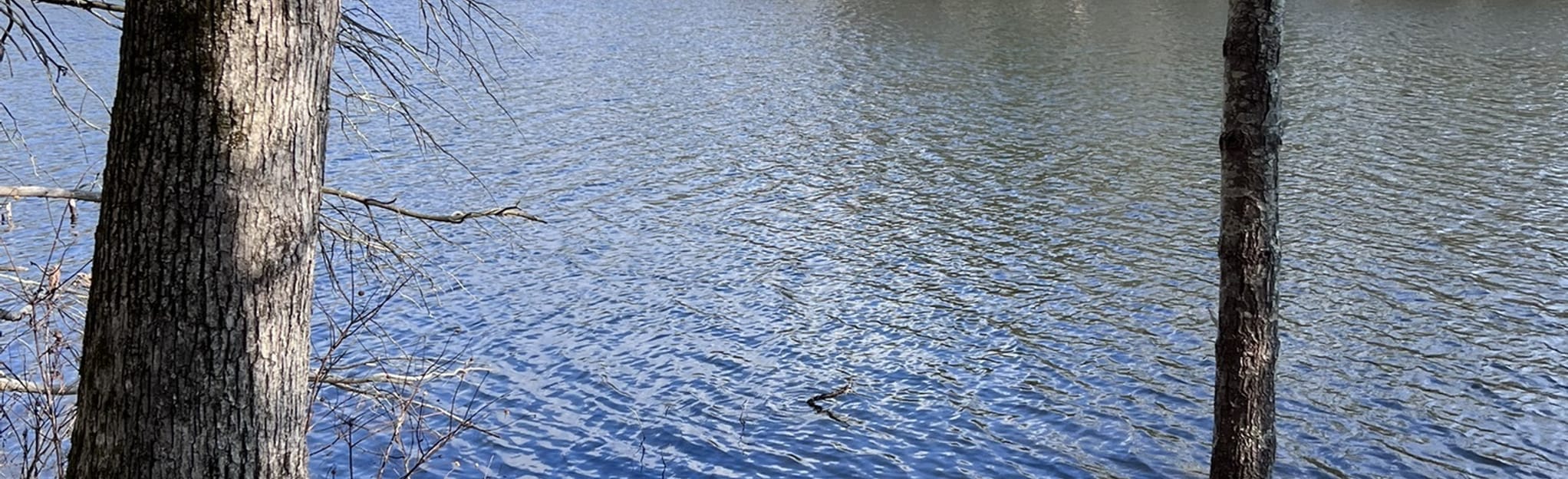 Onteora Lake Yellow Trail: 459 Reviews, Map - New York | AllTrails