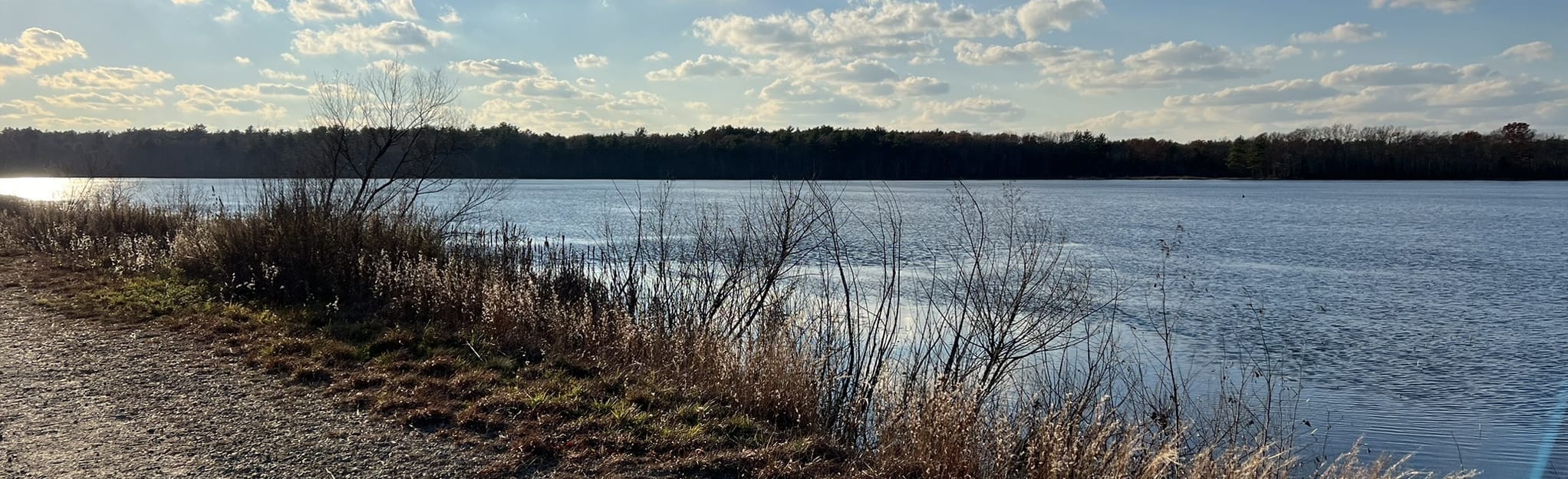 Burrage Pond WMA Loop: 644 Reviews, Map - Massachusetts | AllTrails
