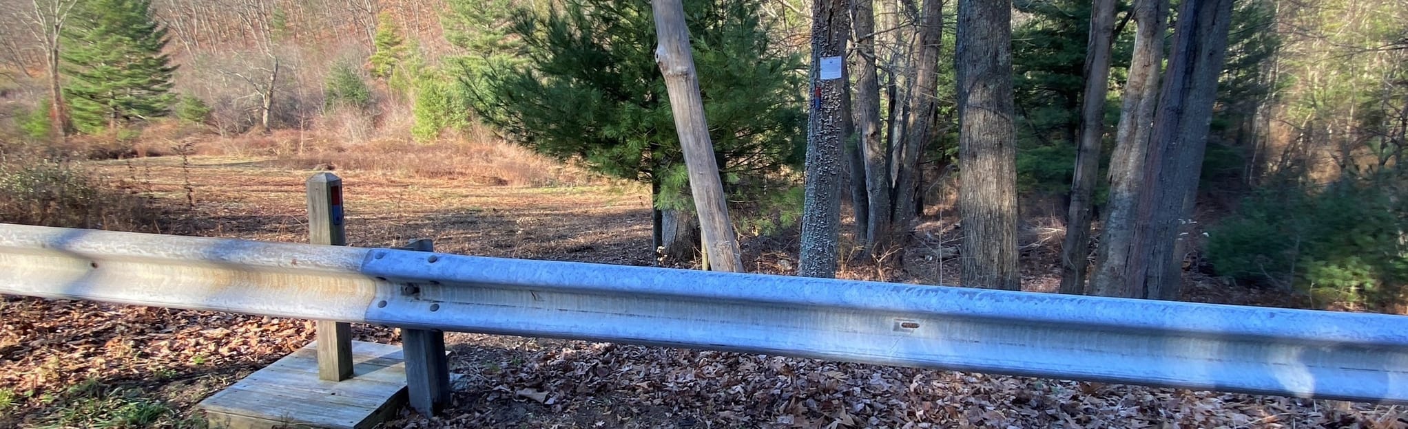 Campbell Connector Trail, Connecticut - 4 Reviews, Map | AllTrails