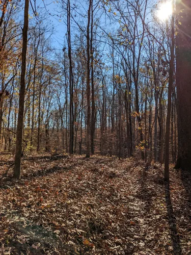 Best Hikes and Trails in Dan Daniel Memorial Park | AllTrails