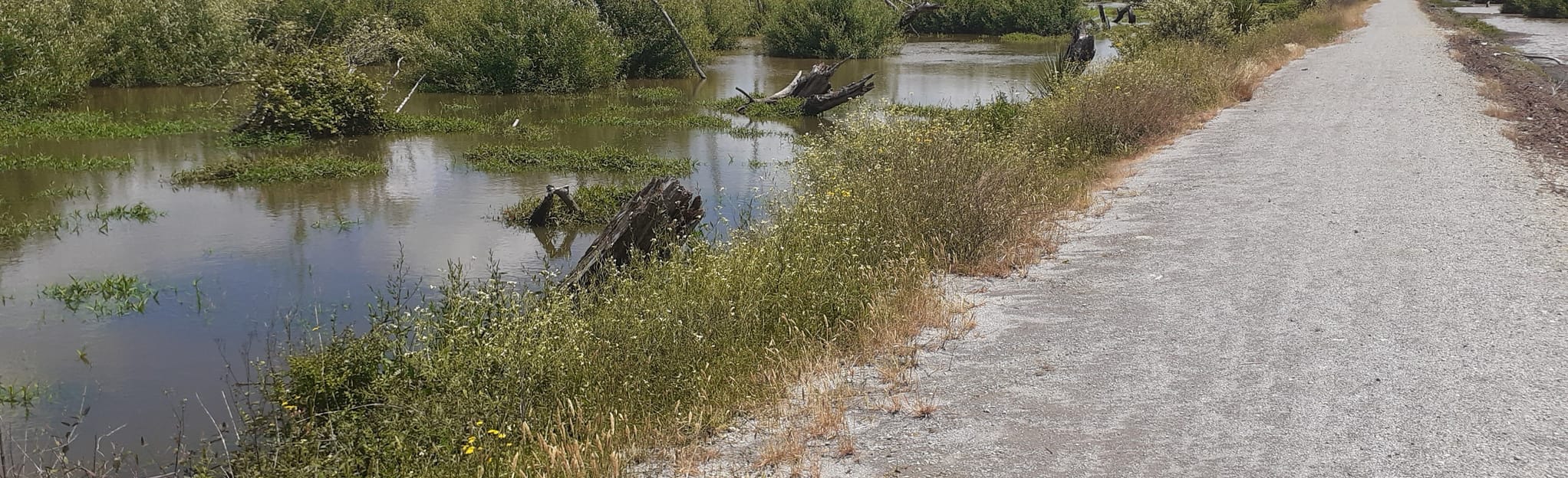 Twin Coast Cycle Trail: Kawakawa to Moerewa, Northland, New Zealand ...