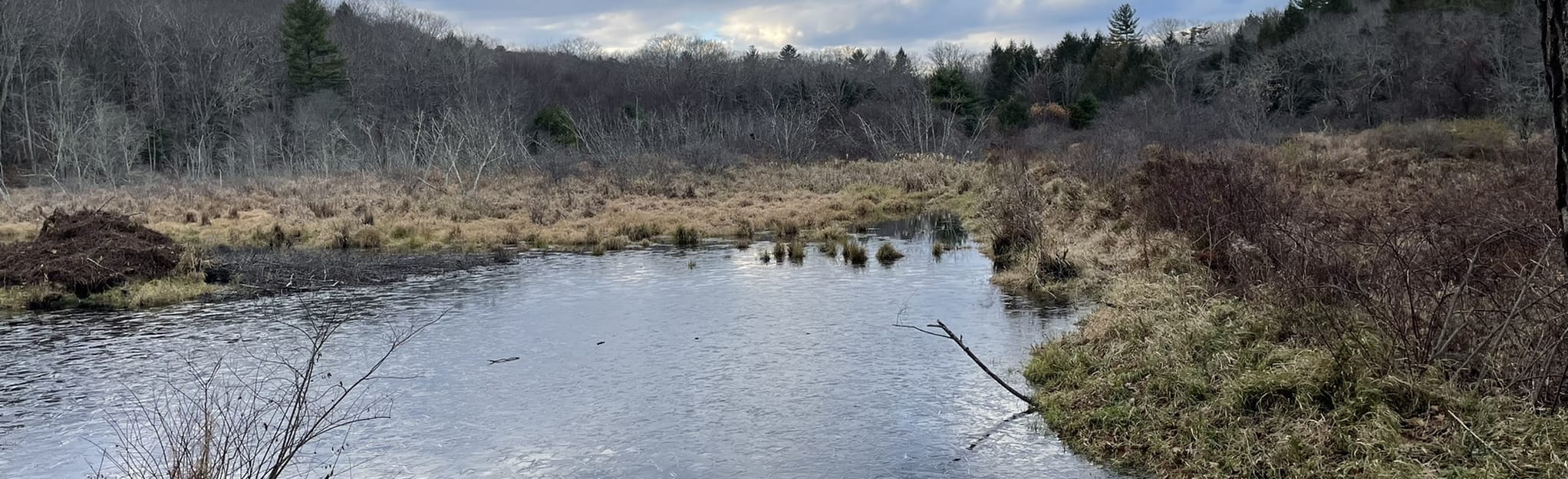 UConn Forest Green Trail | Map, Guide - Connecticut | AllTrails