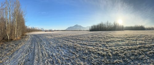 Best Hikes and Trails in Matanuska Lakes State Recreation Area | AllTrails