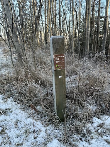 Best Hikes and Trails in Matanuska Lakes State Recreation Area | AllTrails
