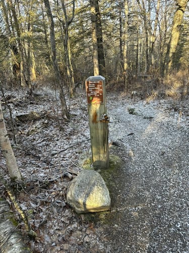 Best Hikes and Trails in Matanuska Lakes State Recreation Area | AllTrails