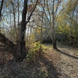 Ragle Ranch Extended Loop, California - 581 Reviews, Map | AllTrails