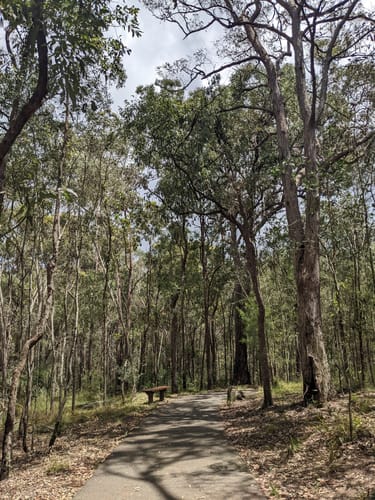 Best Hikes and Trails in 7th Brigade Park | AllTrails