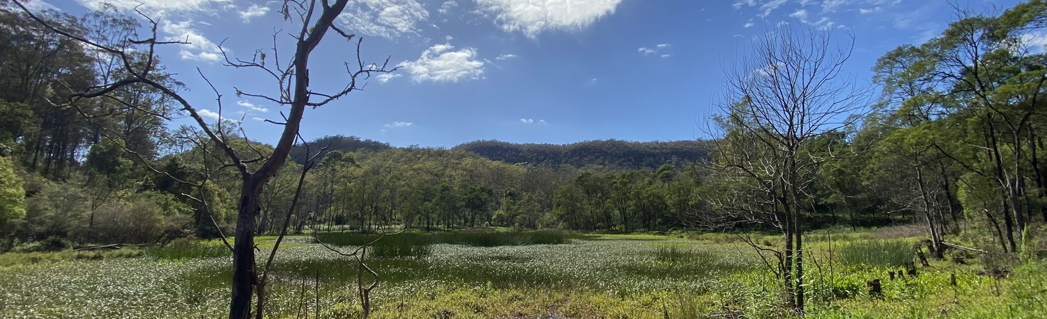 Dubbo Gully Road to Upper Mangrove Cemetery, New South Wales, Australia ...