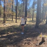 Gold Digger Trail to Two Spot Trail Loop, Arizona - 195 Reviews, Map ...