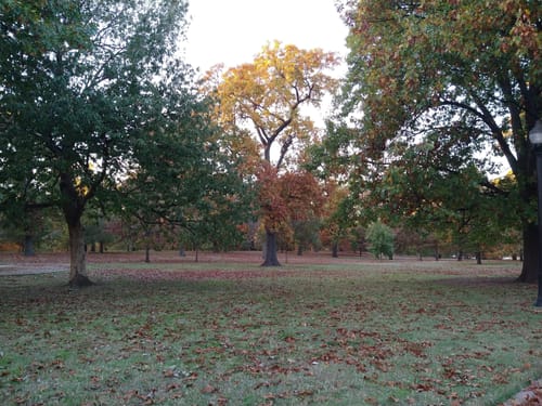 Best Hikes and Trails in Woodward Park | AllTrails