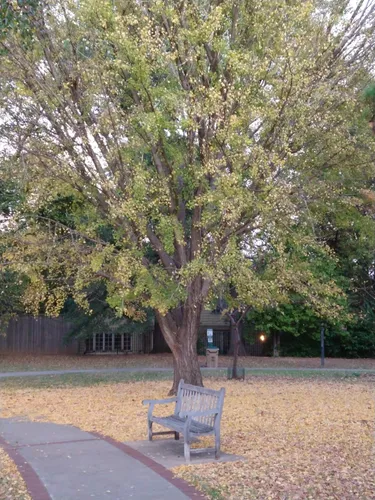 Best Hikes and Trails in Woodward Park | AllTrails