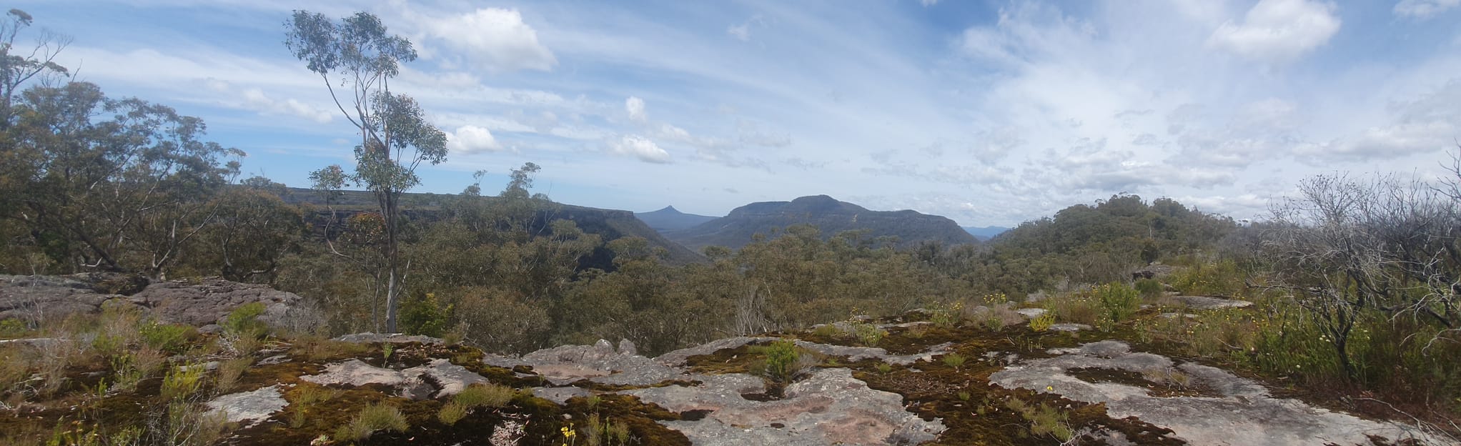 Ngaityung Falls via Mount Bushwalker Walking Track: 93 Reviews, Map ...