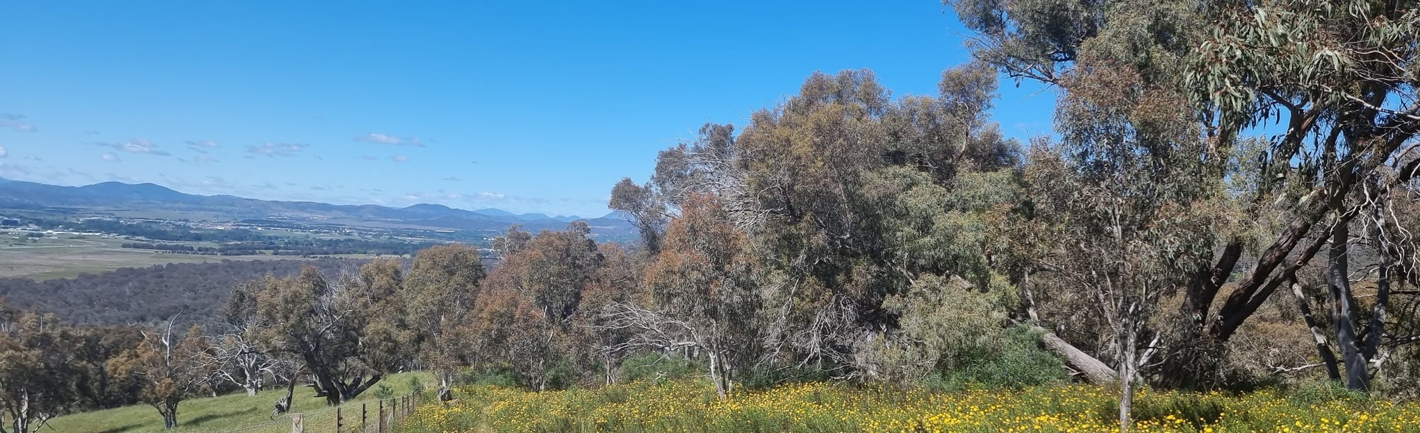 Mount Ainslie via Majura Pines, Australian Capital Territory, Australia ...