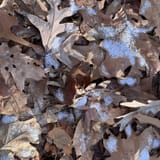 Farmdale Recreation Area Trail, Illinois - 804 Reviews, Map | AllTrails