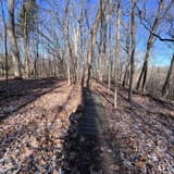 Farmdale Recreation Area Trail, Illinois - 848 Reviews, Map | AllTrails