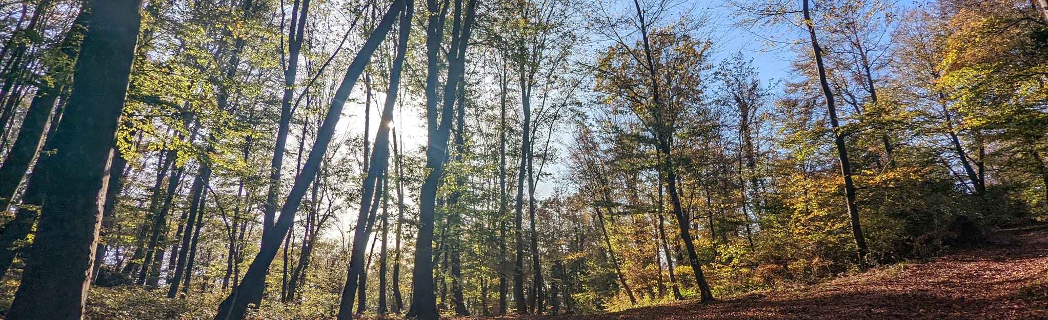 Podsused - Kameni Svati - Grafičar - Sljeme, Zagreb County, Croatia - 5 ...