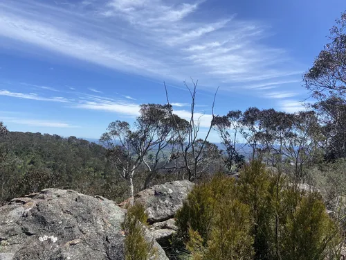 Best Moderate Trails in Mount Canobolas State Conservation Area | AllTrails