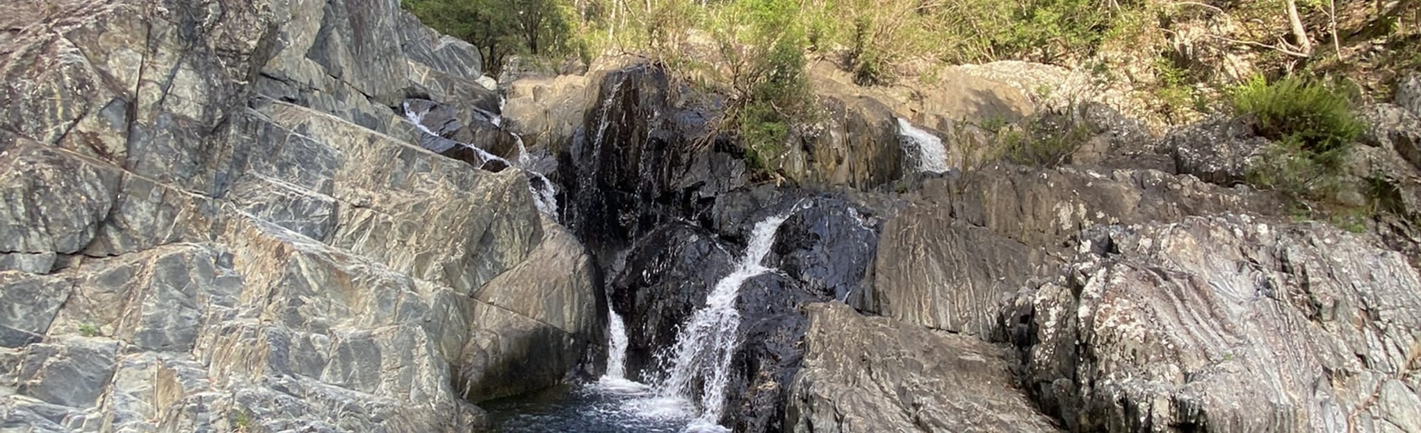 Conondale Range Great Walk: Booloumba Creek to Summer Falls: 21 Reviews ...