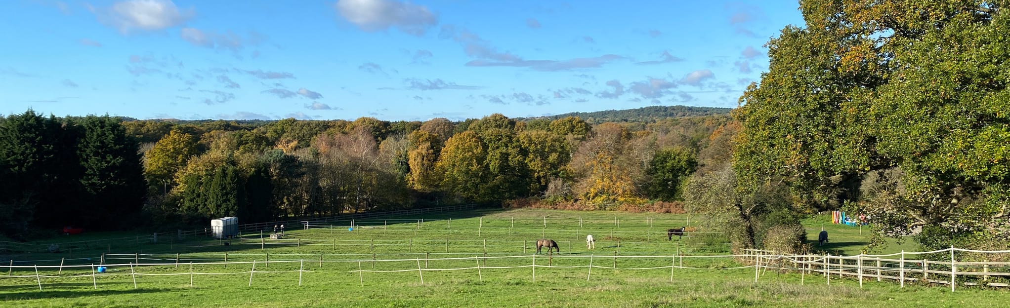 Pirbright Circular: 224 Fotos - Surrey, England | AllTrails