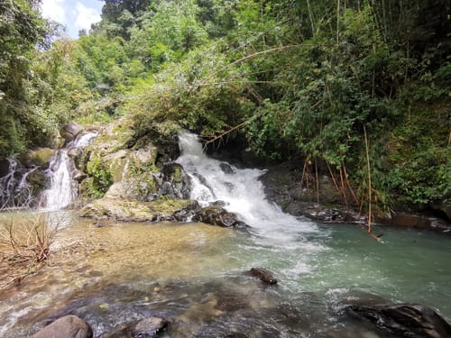 2023 Best Wild Flowers Trails in Ban Tan Han | AllTrails