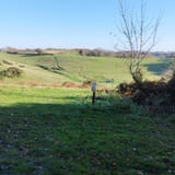 Ham Hill Circular, Somerset, England - 66 Reviews, Map | AllTrails