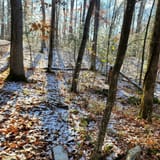 North Sylamore Creek Trail, Arkansas - 272 Reviews, Map | AllTrails