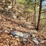 North Sylamore Creek Trail, Arkansas - 272 Reviews, Map | AllTrails