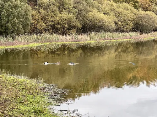 Best Hikes and Trails in Ashtead Common National Nature Reserve | AllTrails