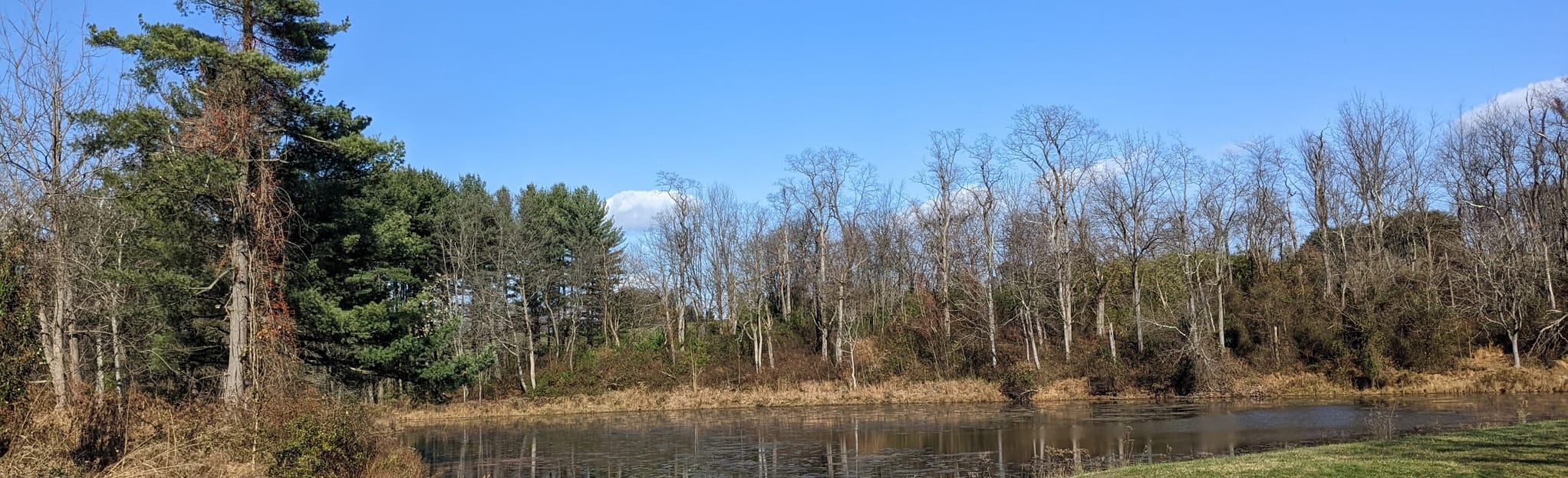 Krimgold Park Loop: 590 Reviews, Map - Maryland | AllTrails