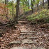 Tree Top Nature Trail, Alabama - 359 Reviews, Map | AllTrails