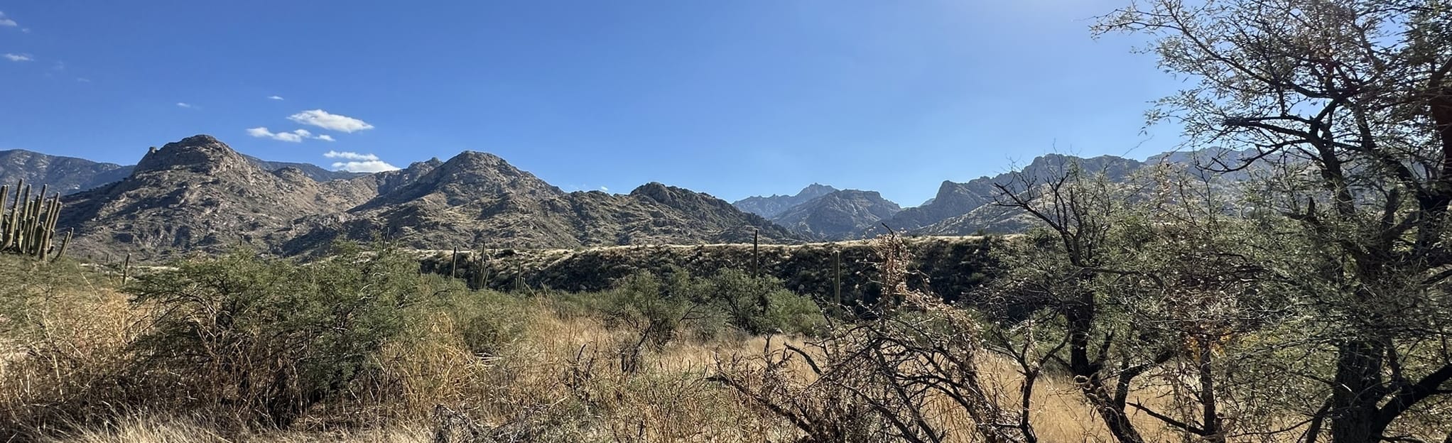 Sutherland Trail, Arizona - 229 Reviews, Map | AllTrails