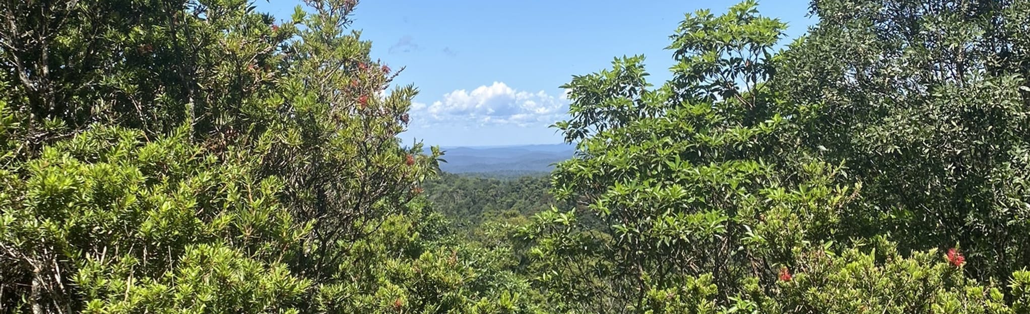 Walter's Waterhole to Rhyolite Pinnacle: 63 foto's - Queensland ...